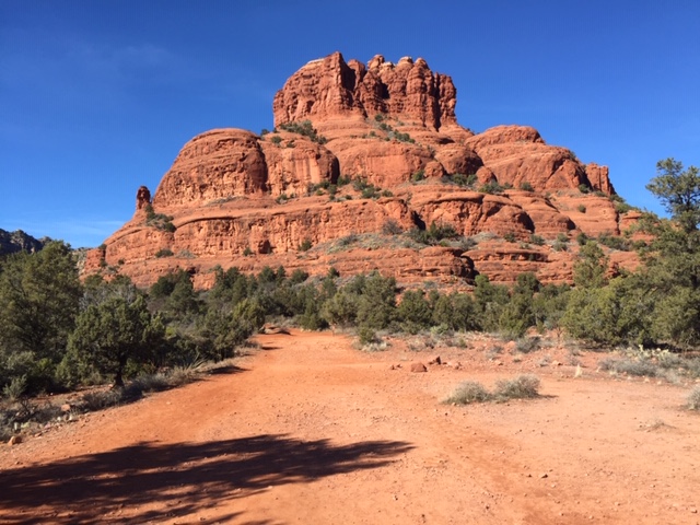 January in Arizona - Mary Ann's Walkabout